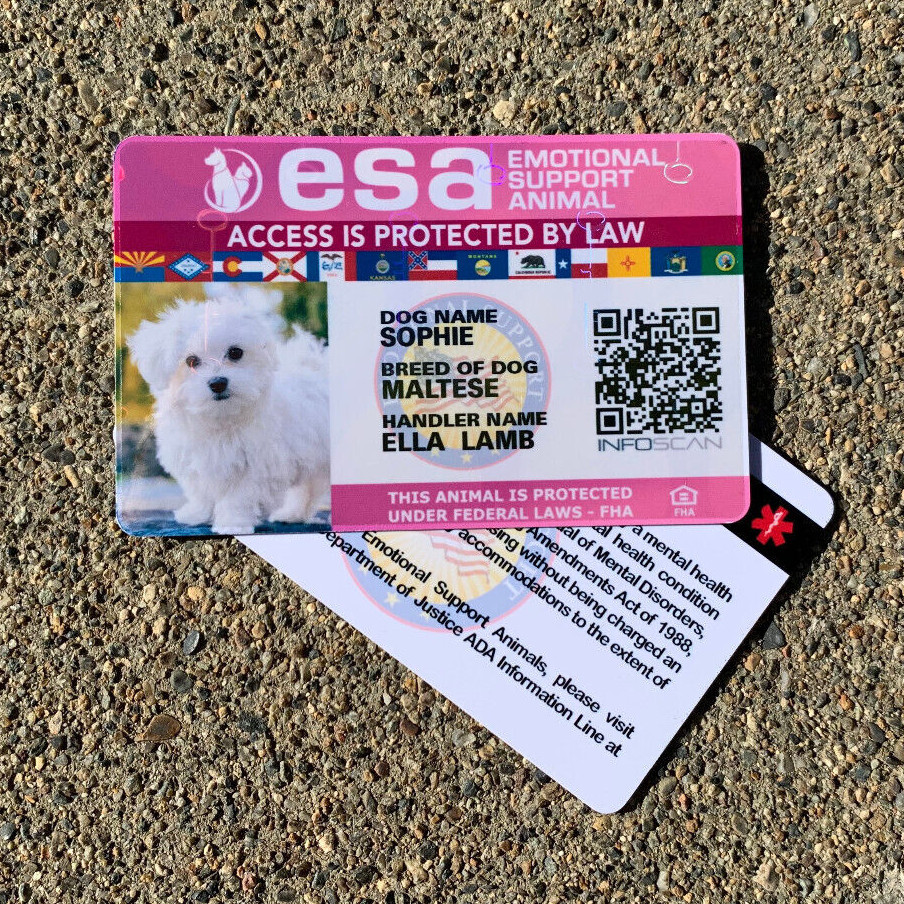 EMOTIONAL SUPPORT ANIMAL (ESA) ID BADGE SERVICE DOG ID CARD - PINK ...