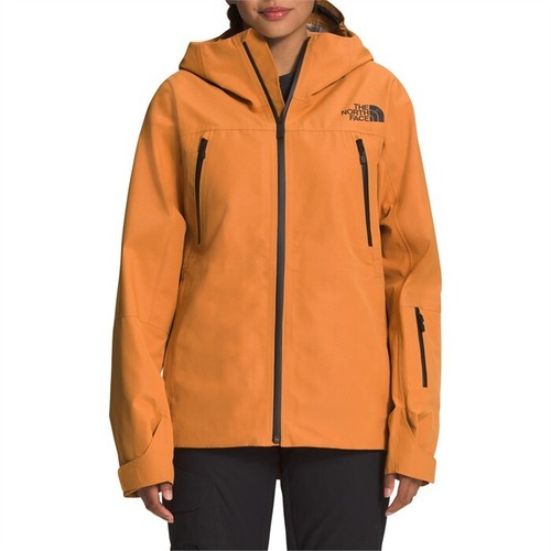 NWT Womens The North Face Ceptor 3L Waterproof Hooded Ski Shell Jacket ...