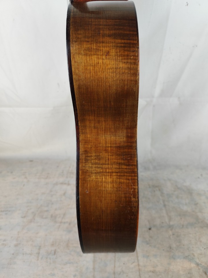 Chitarra Liuteria Giuseppe E Raffaele Calace Napoli concert classica ...