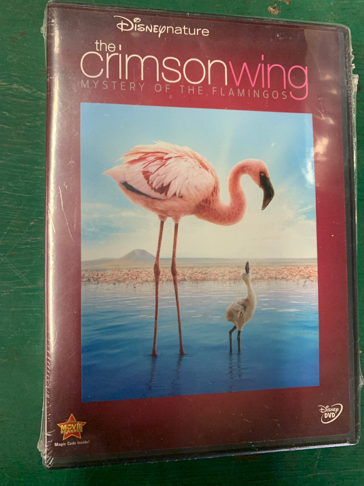 The Crimson Wing: Mystery of the Flamingos (DVD, 2010) 786936787368| eBay