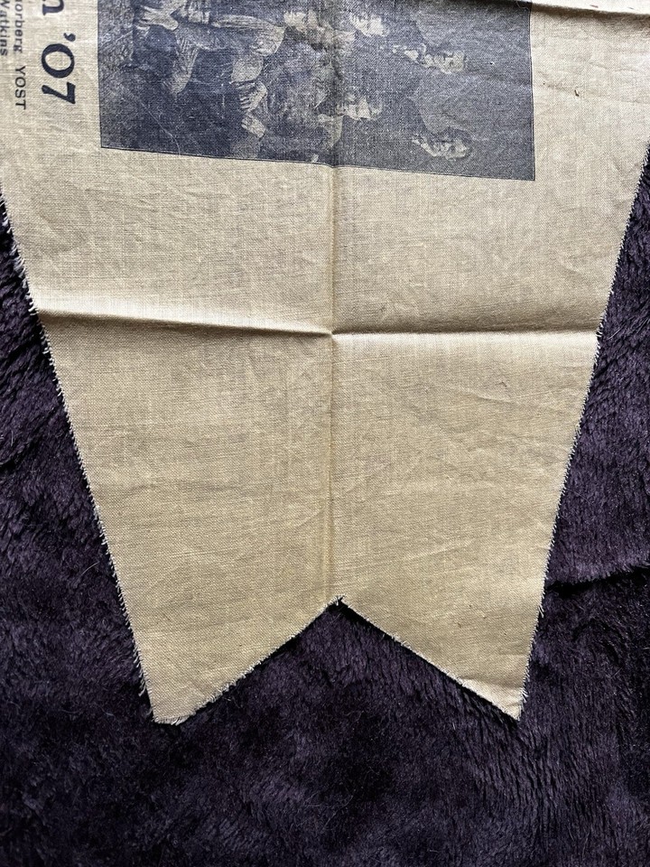 1907 Michigan Wolverines Football Team by Agnes F. Vandome Pennant ...