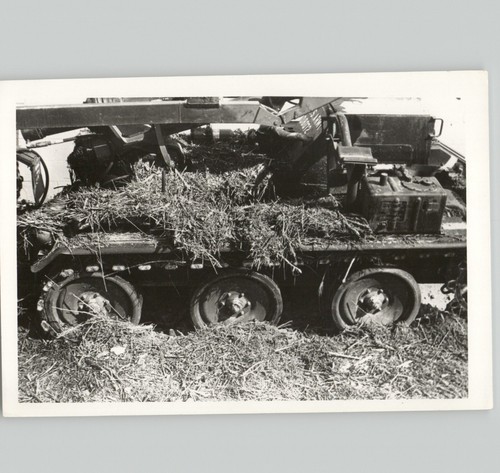 HURRICANE BETSY Aftermath Destruction 1965 Vintage Natural Disaster ...