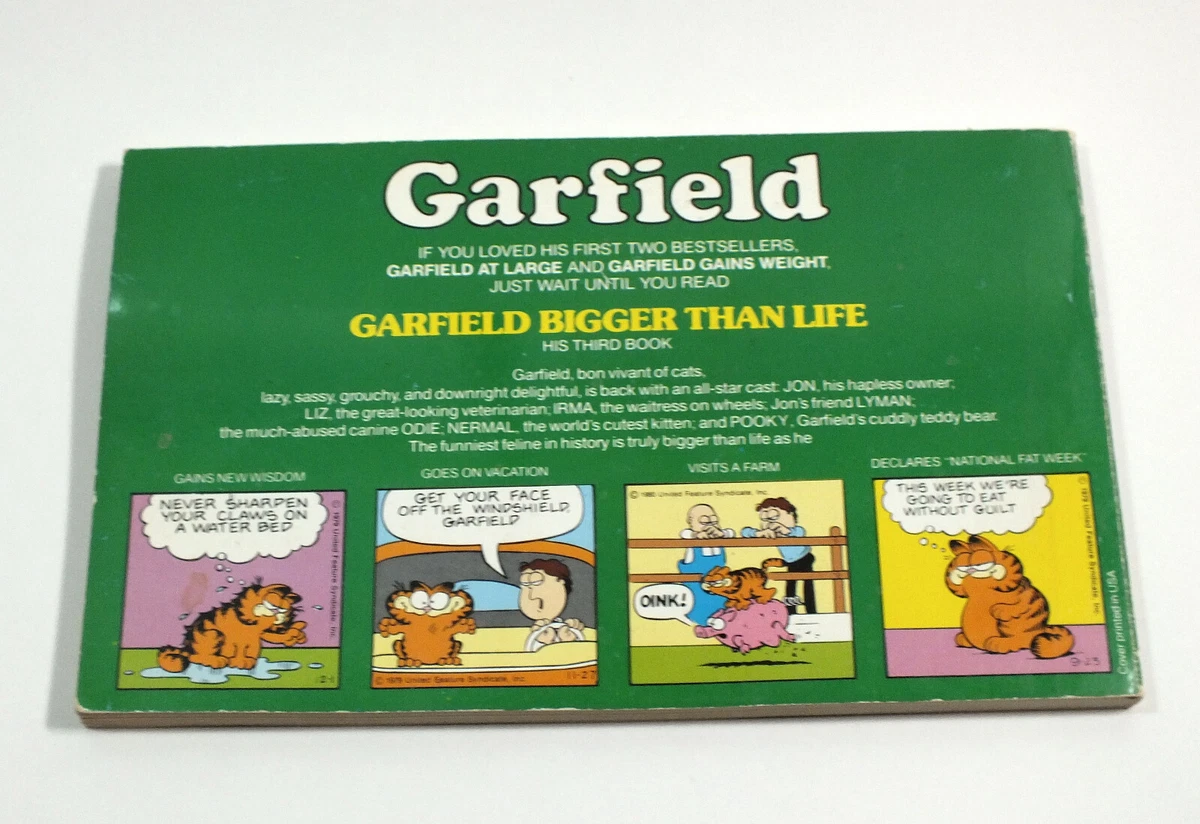 Garfield Face Down Bed