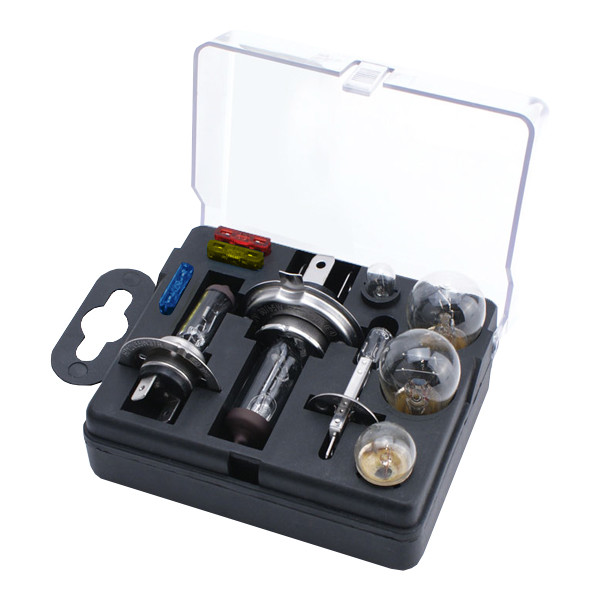 European Car Travel Kit Items for Legal Driving in Europe ...