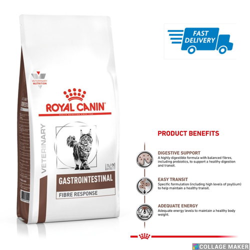 Gastrointestinal Fibre Response Royal Canin Dry Cat Food Digestive ...