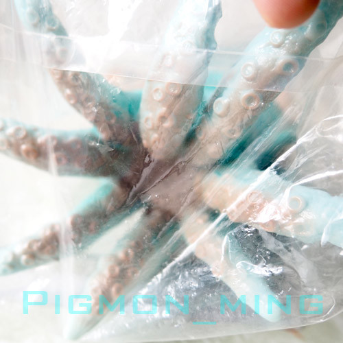 TOHO 2005 M1 Bullmark Standard Scale Godzilla Vinyl Figure Gezora 1970 ...