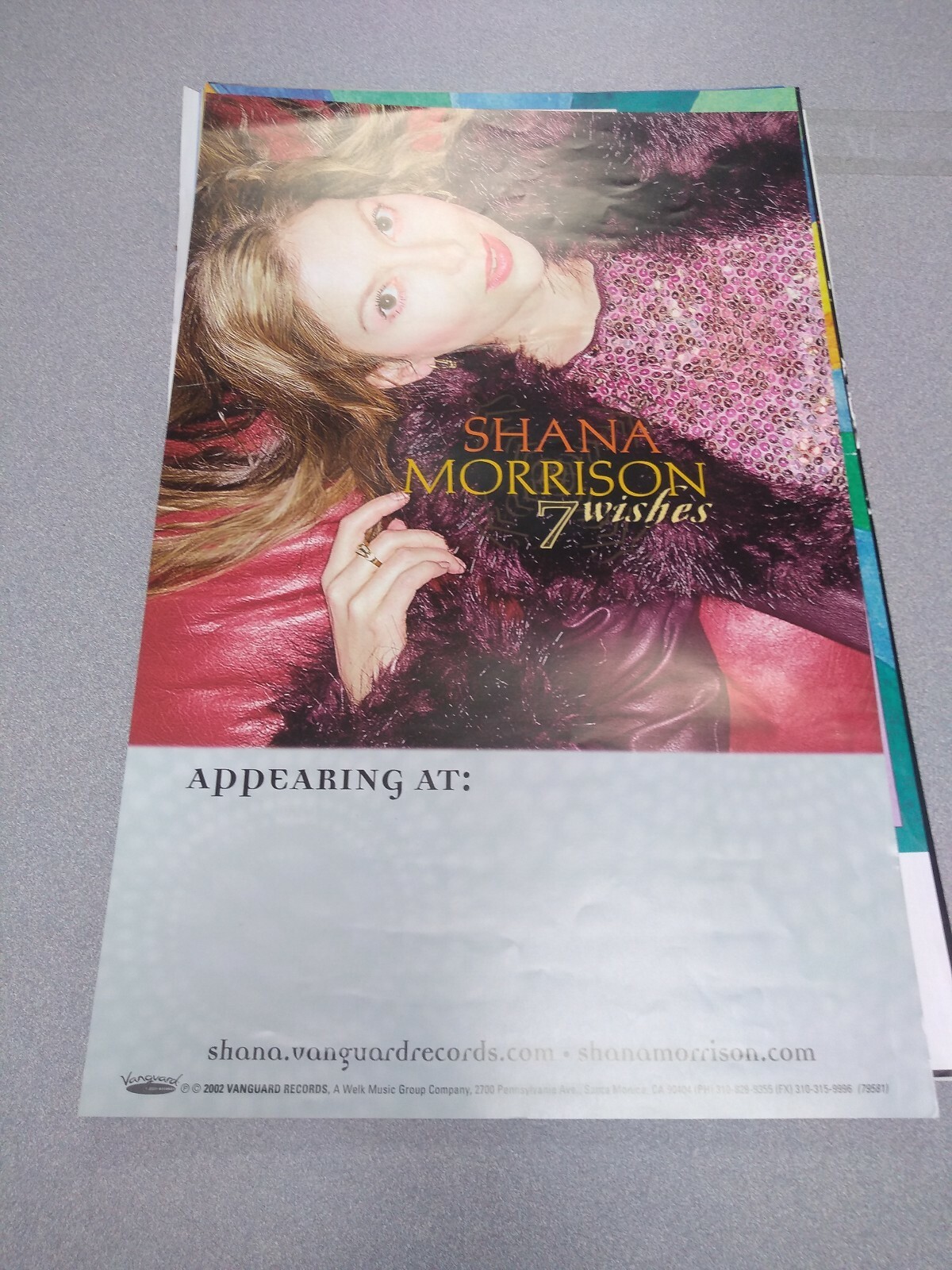 Vintage Promo Poster Shana Morrison | eBay