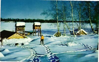Vintage Postcard- Trapper's Camp, Frozen Sucker Lake, Alaska. 1960s | eBay
