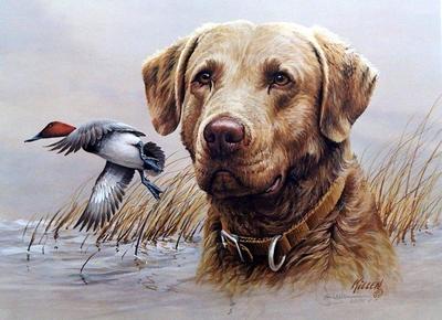 Jim Killen Cheasapeake Marshland S/N A/P Dog Print | eBay