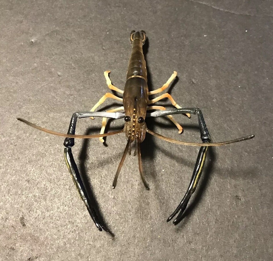 Kaiyodo Animatales Choco Q 10 Freshwater Monkey River Shrimp Prawn ...