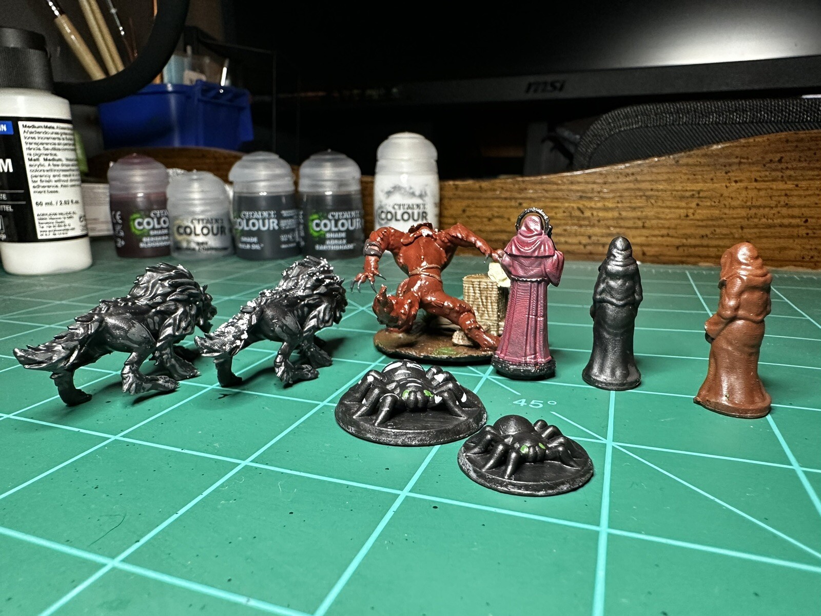 Werewolf & Wizards, D&D custom set Painted miniatures | eBay