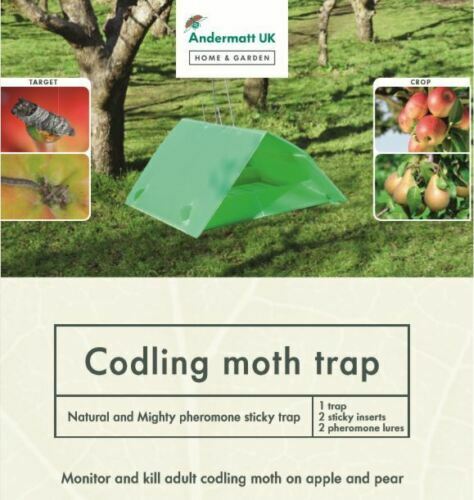 Codling Moth Pheromone Trap for Apples and Pears - Andermatt Home ...