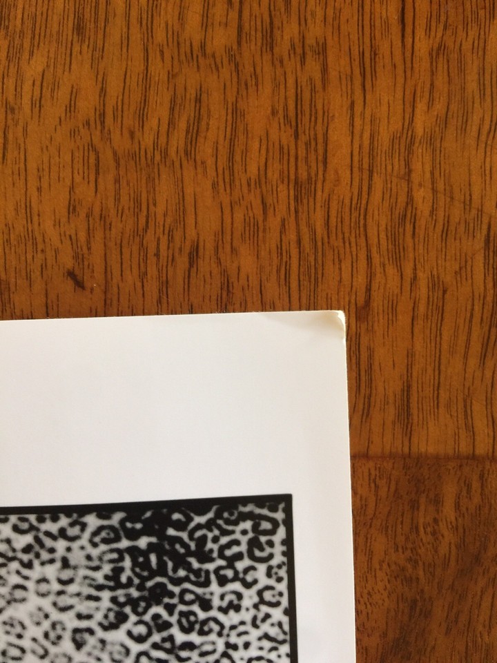 Adrian Nicholas Matthews Thaws aka Tricky Vintage 8x10 Press Photo #1 ...