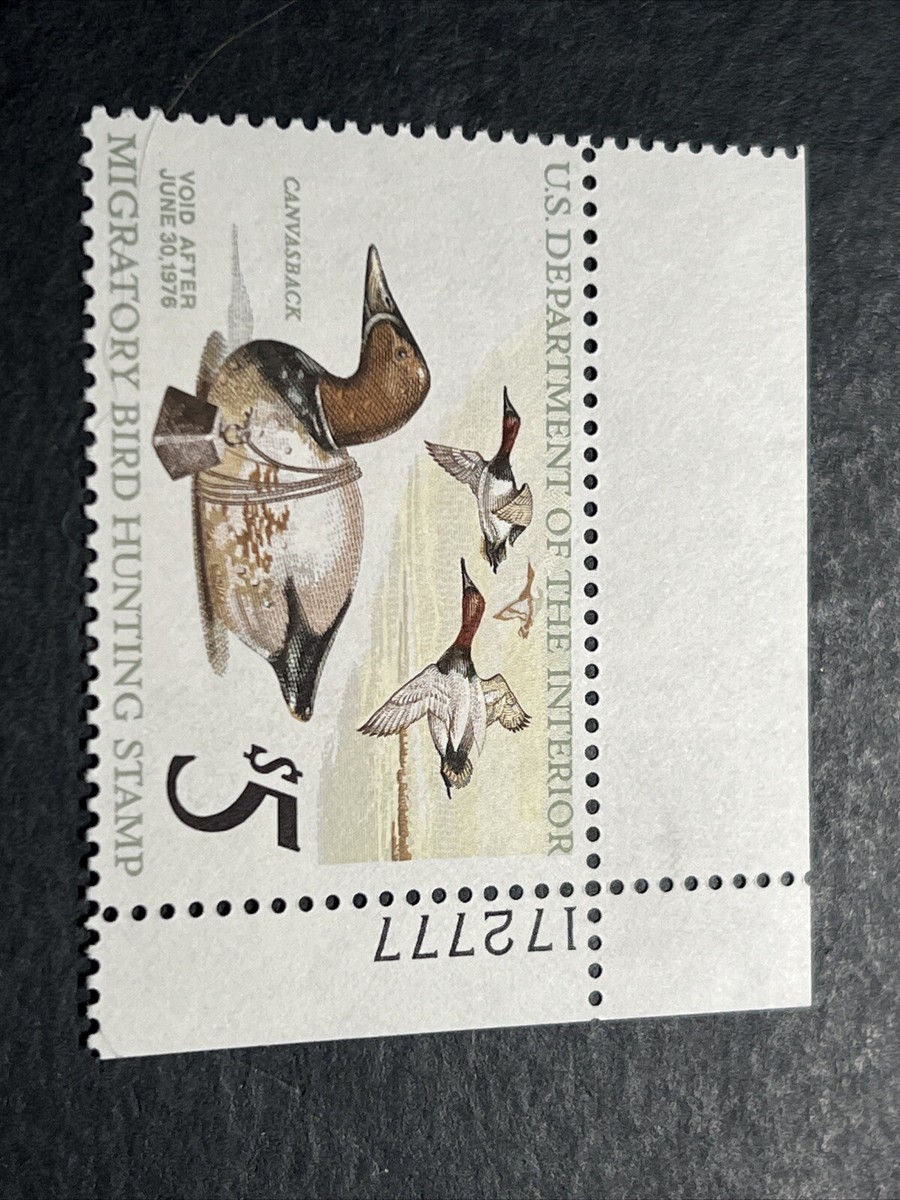 Federal Duck Stamp USPS Scott RW42 $5 Canvasback - Mint Never Hinged ...