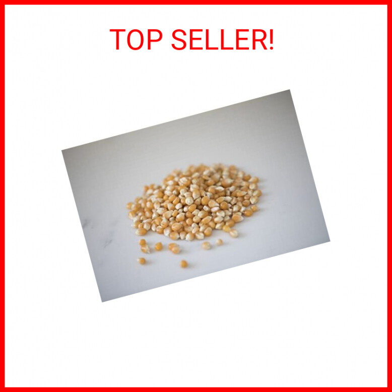 Amish Country Popcorn | 6 lb Bag | Mushroom Popcorn Kernels | Old ...