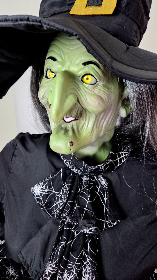 Gemmy Life Size Animatronic Halloween Witch Prop Candy Tray Trick Or ...