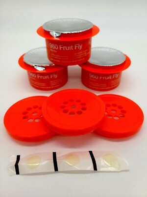 [3 TRAPS] Vector 960 Fruit Fly Trap BASF - Comes with lids and mounting ...