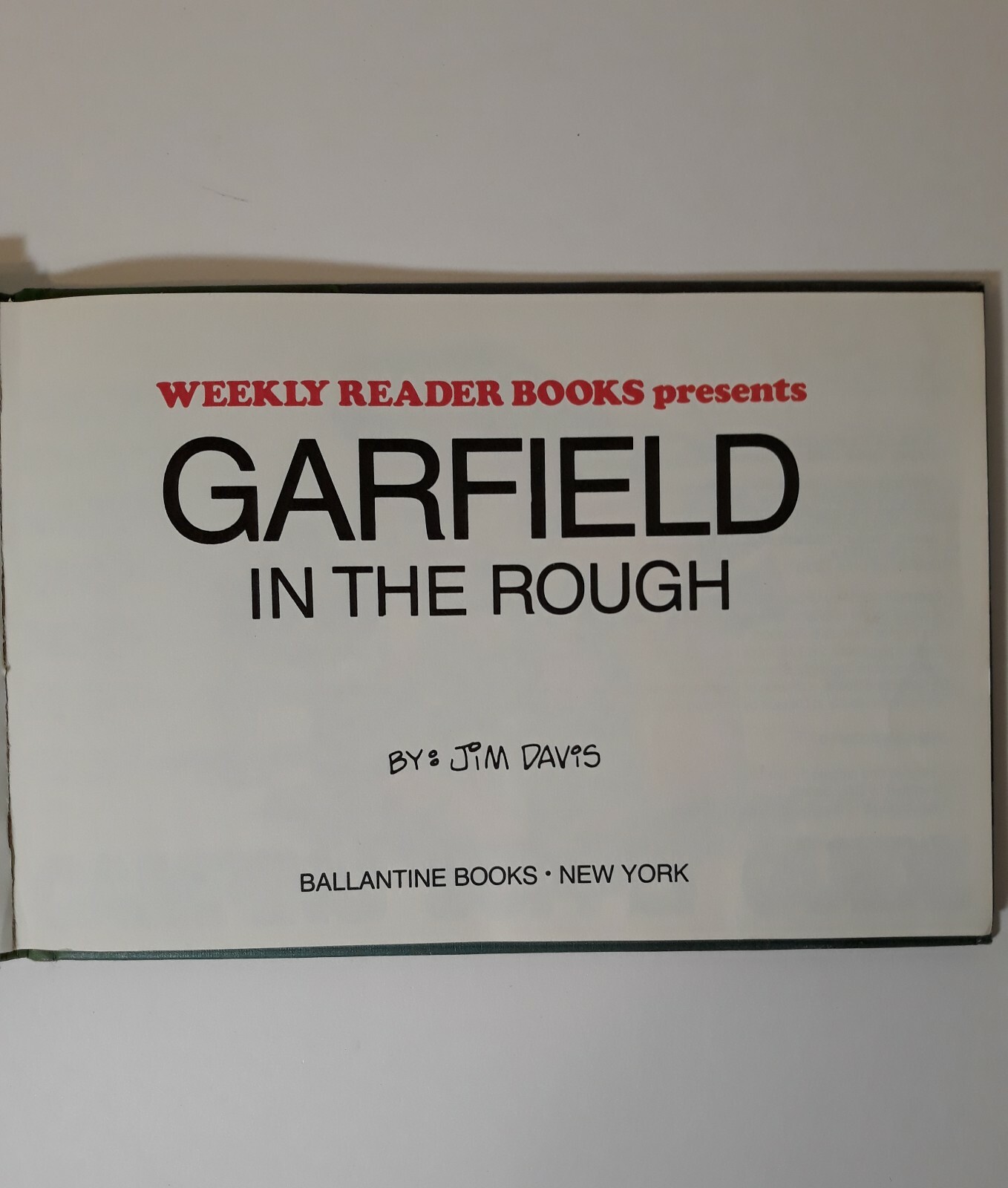 Garfield In The Rough, Comic Strip Book Jim Davis (1984, First Edition ...