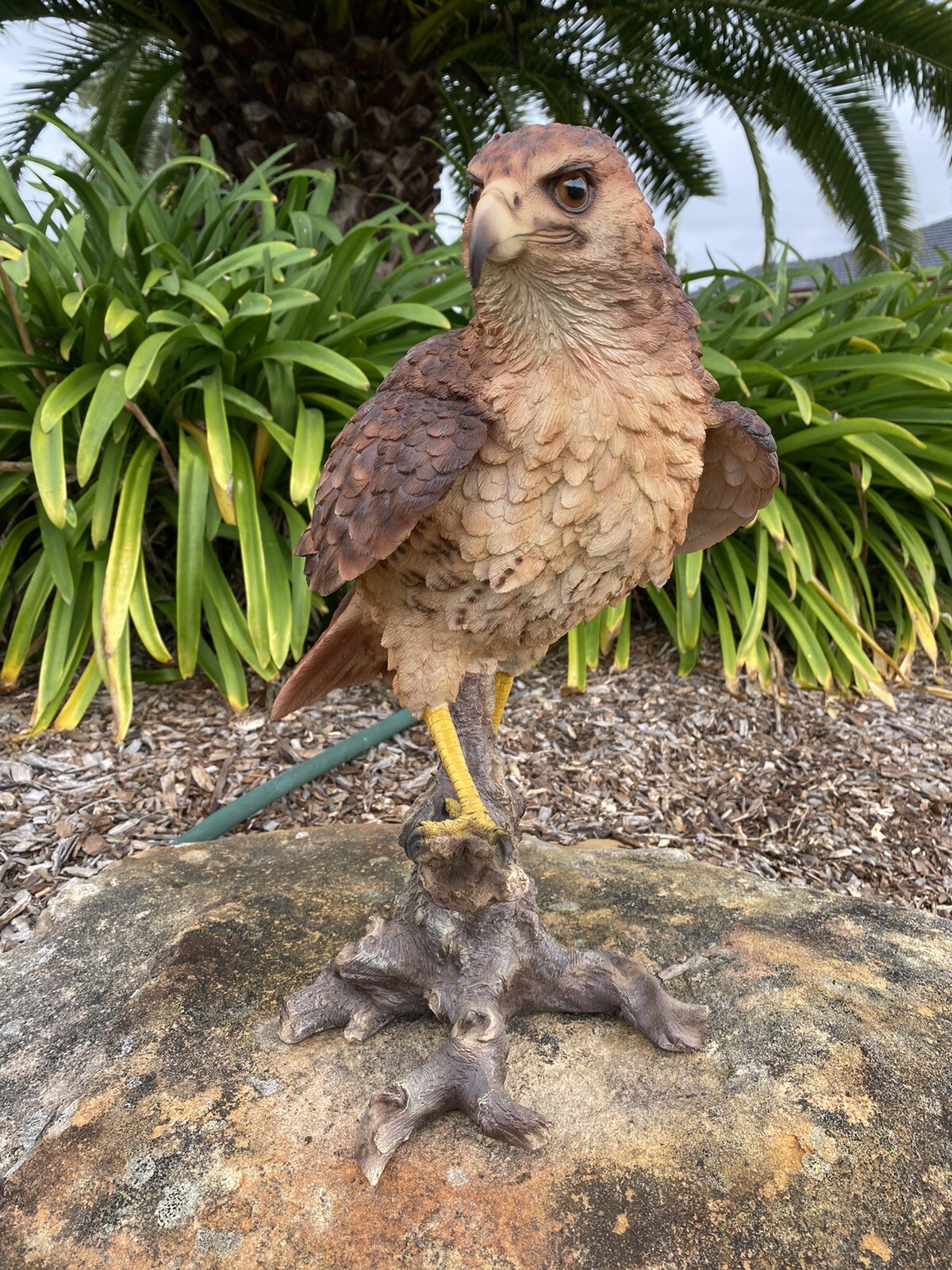 RED TAIL FALCON PERCHED ON A BRANCH BIRD ANIMAL GARDEN STATUE ORNAMENT ...