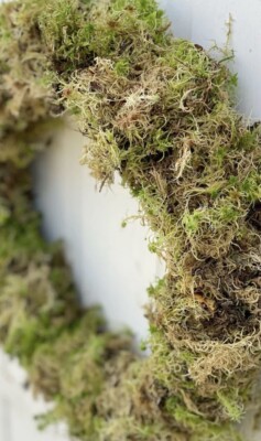 Fresh Mossed / Moss Ring For Christmas Wreath Making - 10 inch | eBay UK