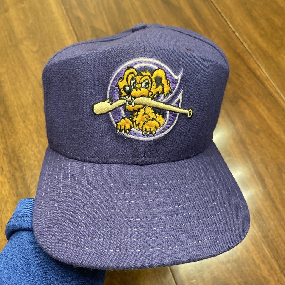 Vintage Charleston Riverdogs Hat Snapback New Era Made In USA Minor ...