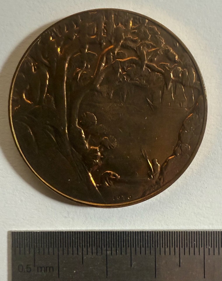 South Carolina Tricentennial commemorative medal | coin (bronze, 1970 ...