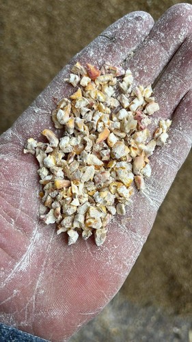 Rolled Barley, Oats, Maize, Maize Gluten, Cattle, Sheep, Pig, Pheasant ...