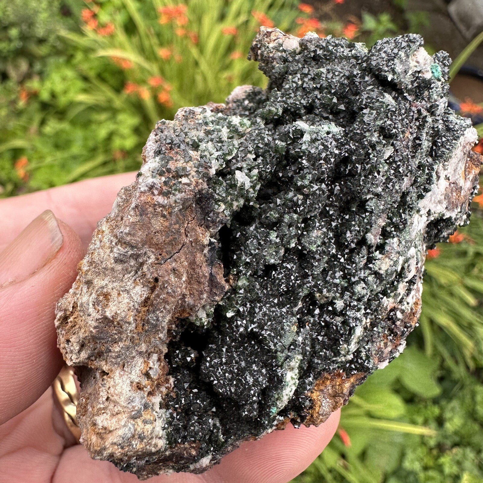 Libethenite Crystals On Matrix Mina De Miguel Vacas Portugal 8 cm 194 ...