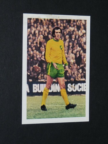 #215 GEOFF BUTLER NORWICH CITY CANARIES FKS PANINI FOOTBALL ENGLAND ...