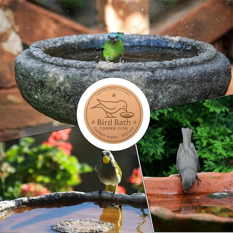 Copper Bird Bath Disk, Bird Bath Cleaner, Water Birdbath Support Copper ...