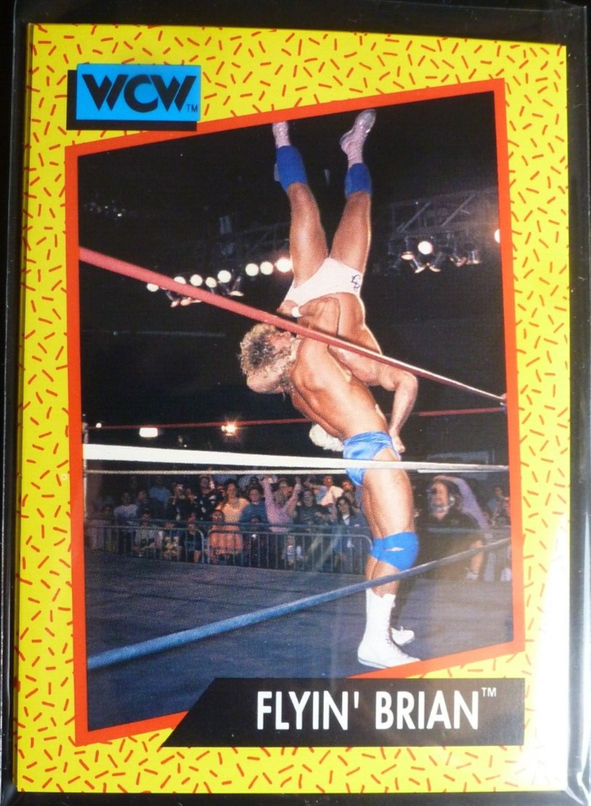 1991 Impel WCW Flyin' Brian Pillman #63, WWF, WCW, AEW NM | eBay