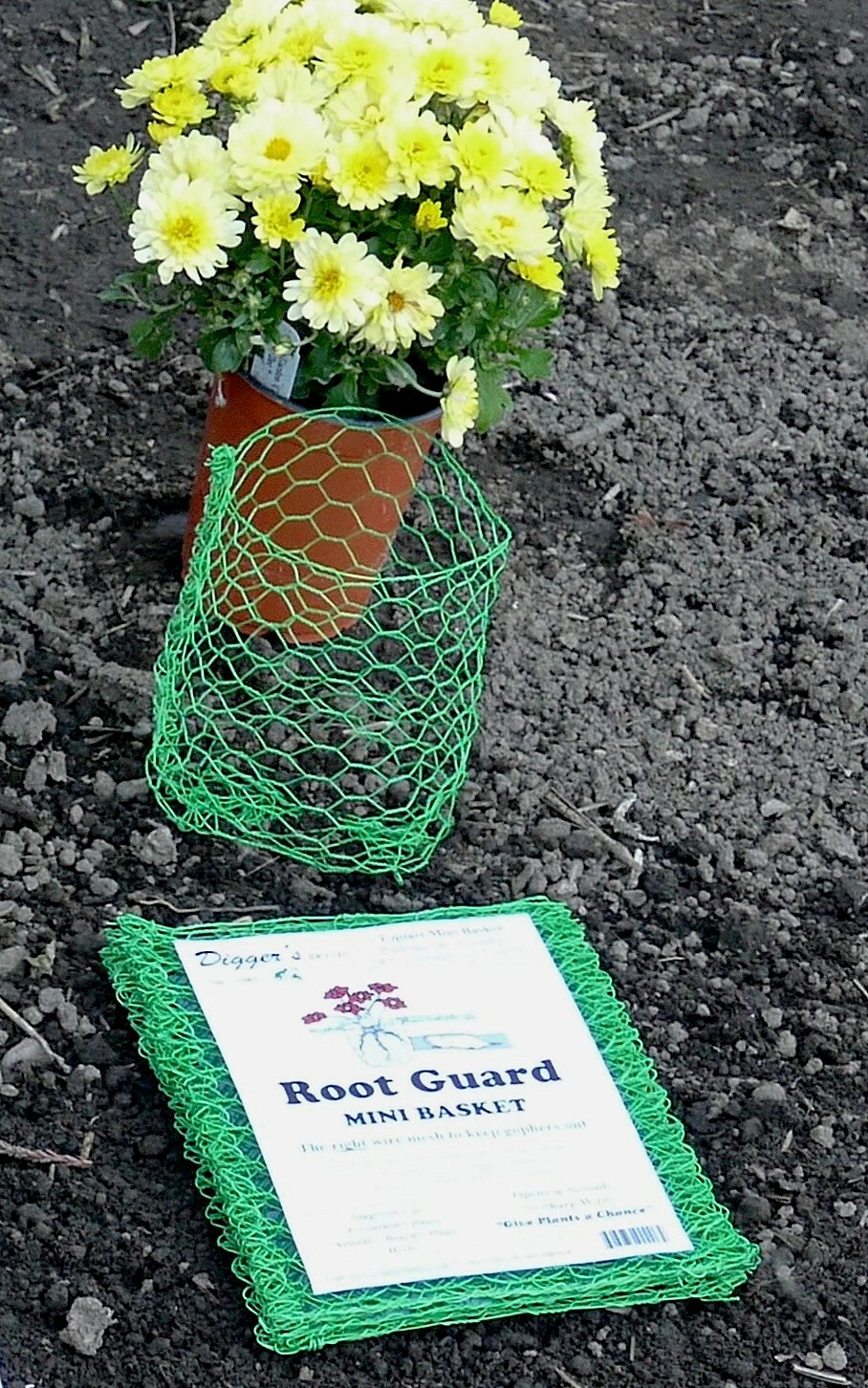 Digger's RootGuardTM Heavy Duty Gopher Wire Baskets, 1-Quart Size, BULK ...