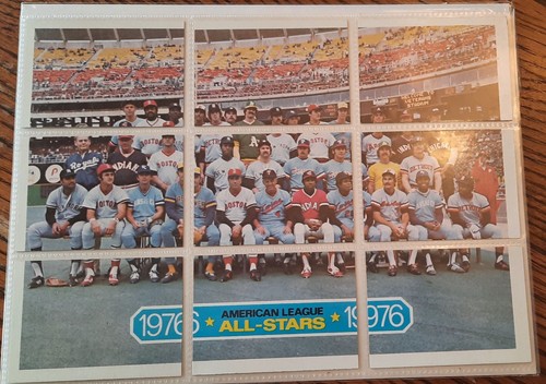 1977 TOPPS Baseball Cloth Sticker Set All Star Puzzle Checklist Sets ...