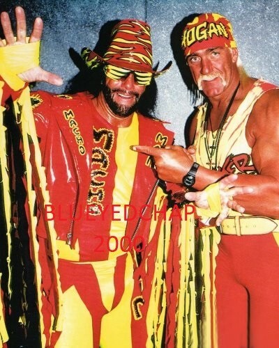 RANDY SAVAGE & HULK HOGAN WRESTLER 8 X1 0 WRESTLING PHOTO WWF WCW | eBay