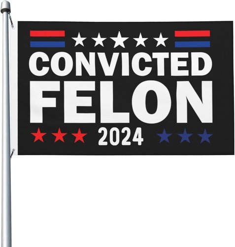 Trump 2024 Flag Trump Convicted Felons Flag for Room Teen Double Sided ...