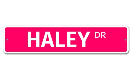 6190 SS Haley 4" x 18" Novelty Street Sign Aluminum | eBay