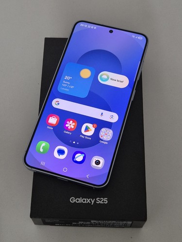 Samsung Galaxy S25 - 128GB - Ice Blue (Unlocked) (Dual SIM) | eBay