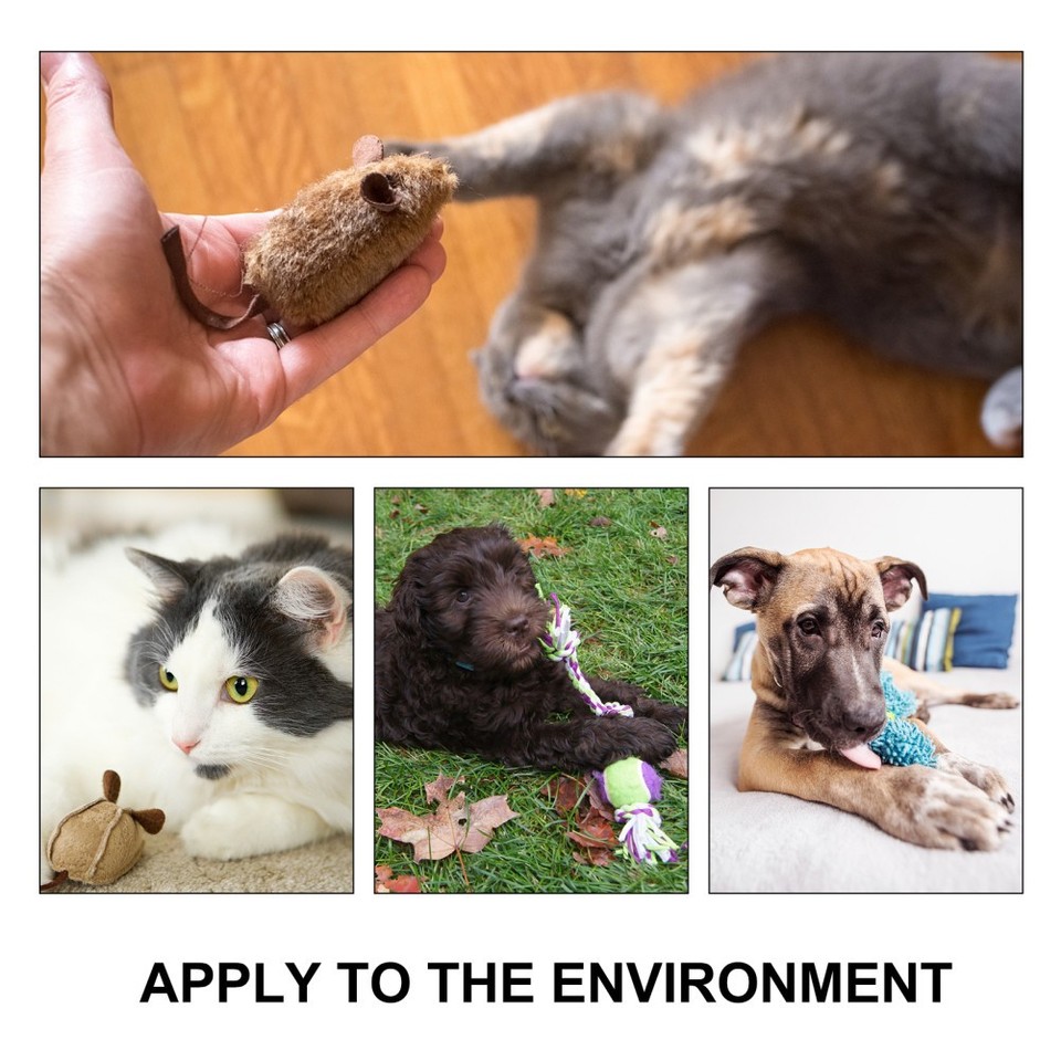 5Pcs Cat Plaything Pet Cat Toy Cage Rat Toy Mouse Ball Toy Pet Supplies ...