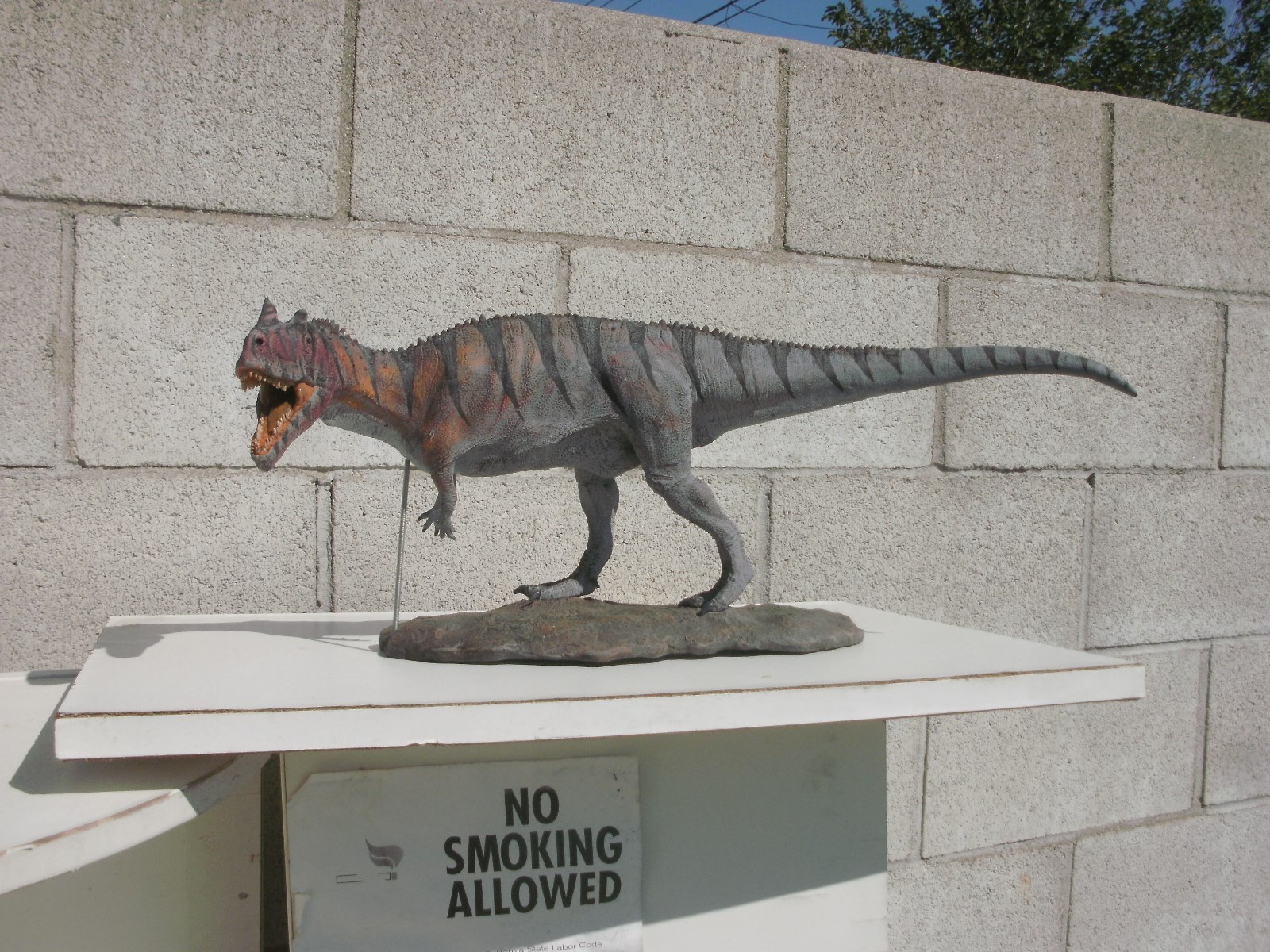 LARGE DINOSAUR HOBBY KIT, 1/10 CERATOSAURUS, BIG UNBUILT Resin Model ...