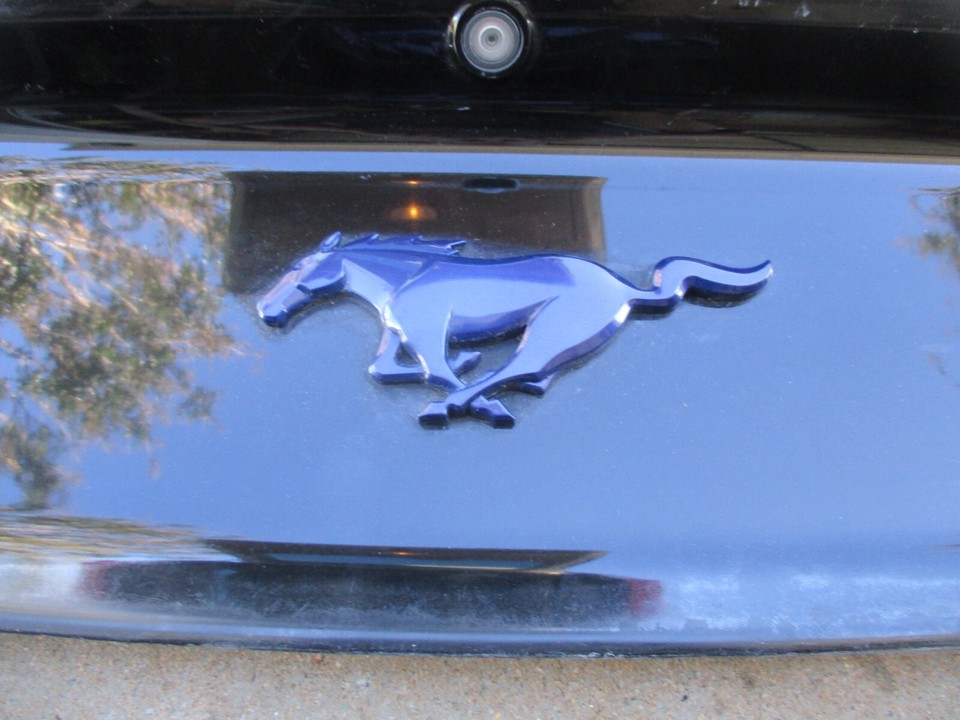 2015 2016 2017 2018 2019 2020 FORD MUSTANG GT REAR TRUNK DECK LID ...