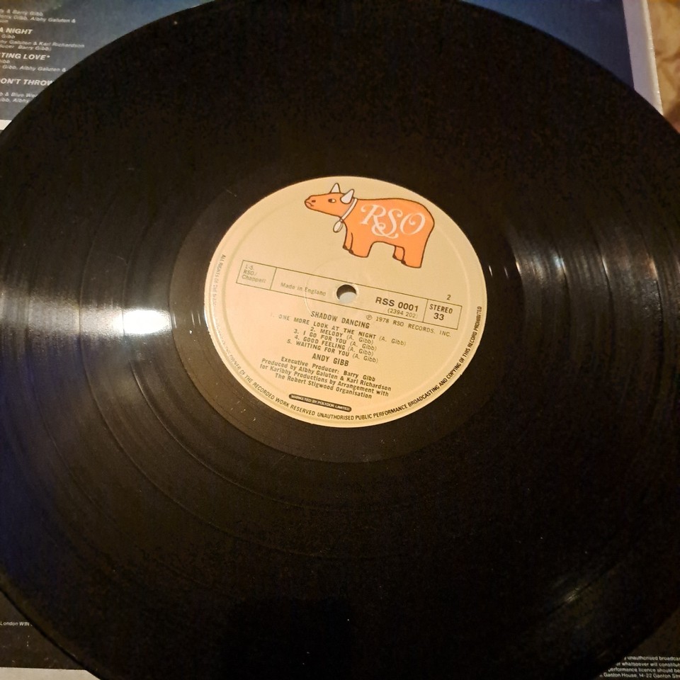 Andy Gibb Shadow Dancing Vinyl Record LP Retro Classic Album | eBay UK