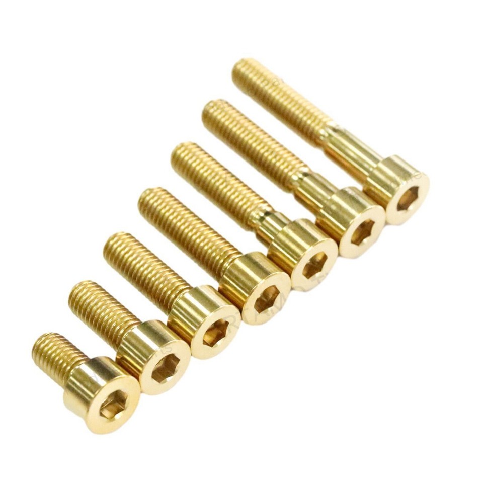 Titanium Ti Bicycle M10x20/25/30/35/40-60mm Screws Allen Hex Socket ...