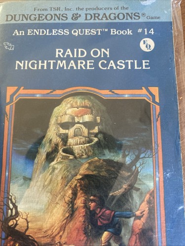 Dungeons & Dragons Endless Quest Book #14 Raid on Nightmare Castle | eBay