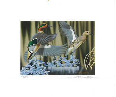 WASHINGTON #17 2002 STATE DUCK STAMP PRINT GREEN WINGED TEAL D ...