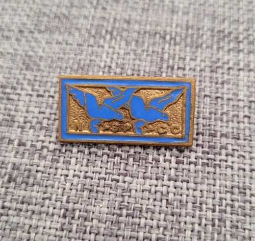 NSPCC NATIONAL SOCIETY PREVTION OF CRUELTY TO CHILDREN WD LEWIS ENAMEL ...