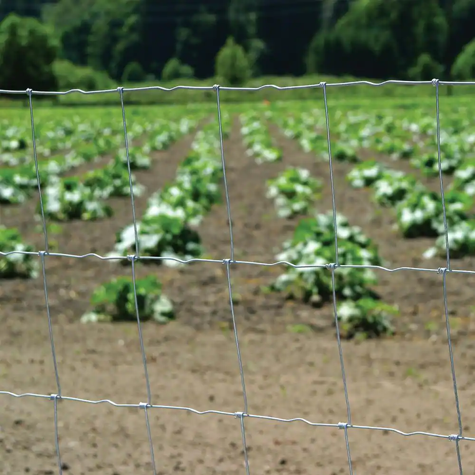 FARMGARD Field Fence 3 ft 3 in x 132 ft Durable 12.5-Gauge Galvanized ...