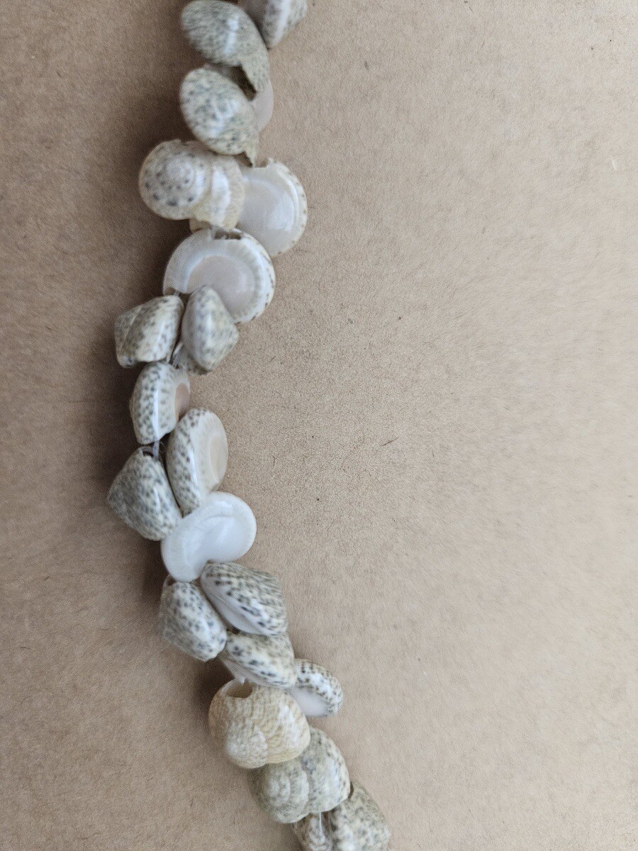 Vintage Hawaiian Shell Necklace Little Shell 36" Long Necklace Tropical ...