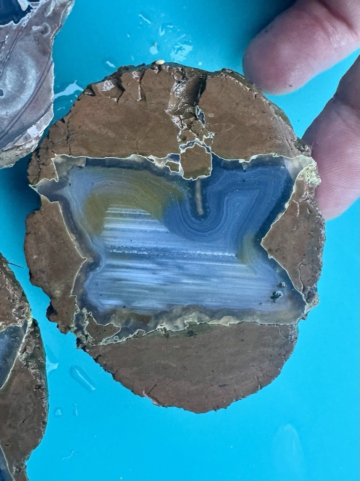 Oregon Thunder Eggs (4) | eBay