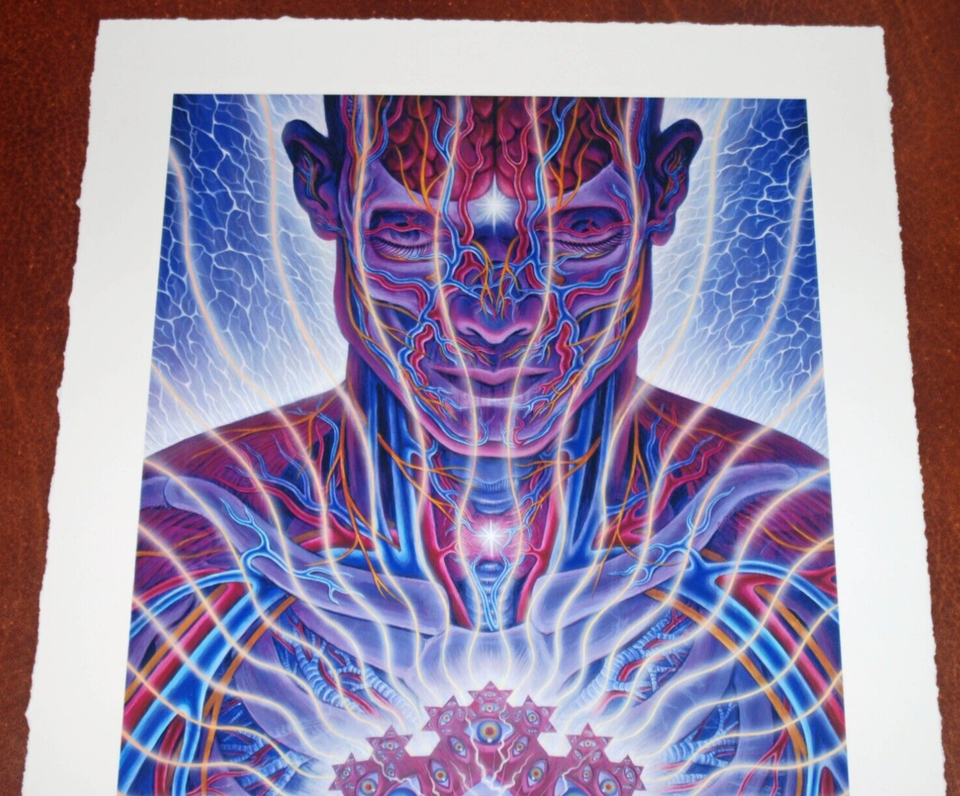 Alex Grey Art Print Mystic Eye S/# 250 w/ COA Psychedelic Third Eye Tool Poster | eBay