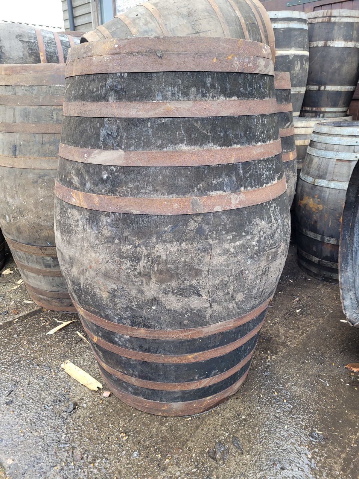 Puncheon 500 litre Whisky Barrel, ideal ice bath | eBay UK